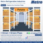 Unlock the Potential of Potato Cold Storage in India: Full Guide