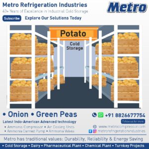 Unlock the Potential of Potato Cold Storage in India: Full Guide