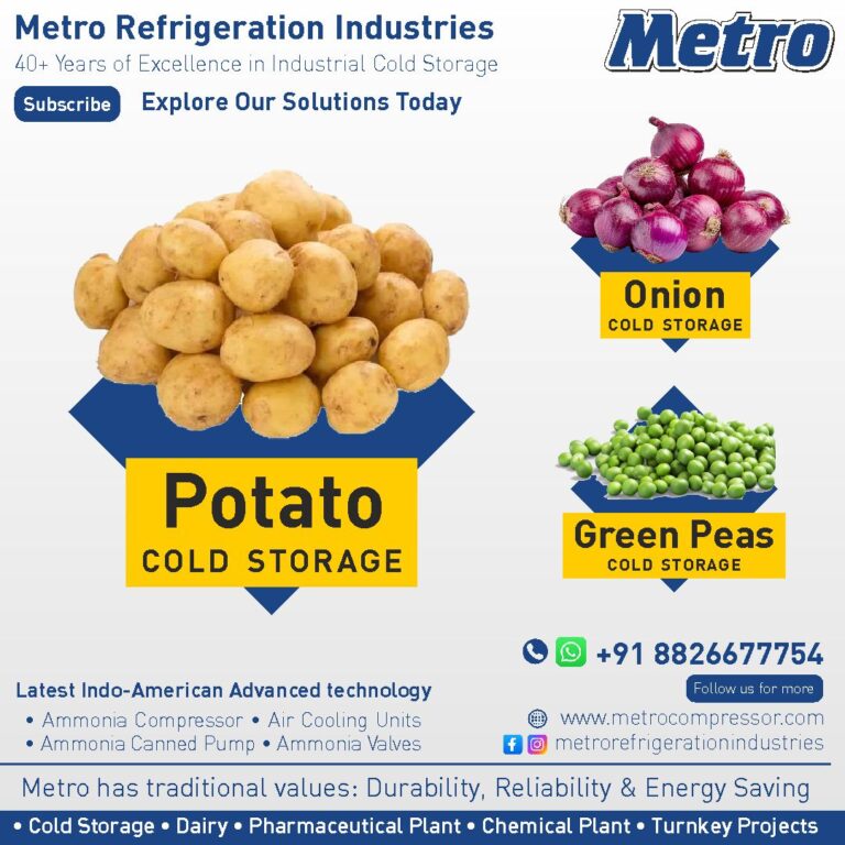 Unlock the Potential of Potato Cold Storage in India: Full Guide