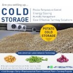 Unlock the Potential of Potato Cold Storage in India: Full Guide